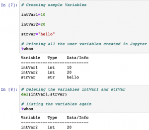 How to delete variables in Python? - Thinking Neuron