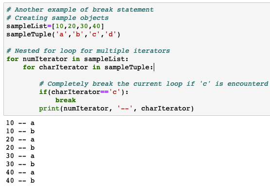 Python Break Statement Thinking Neuron